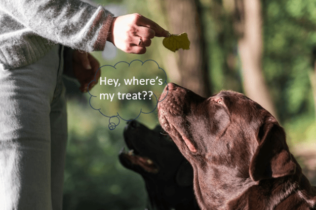 Short, High-Interest Readings: # 2 “Animals Understand Fairness ...